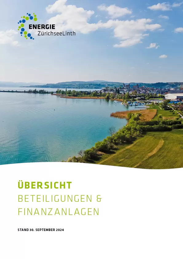 Corporate Governance | Energie Zürichsee Linth AG